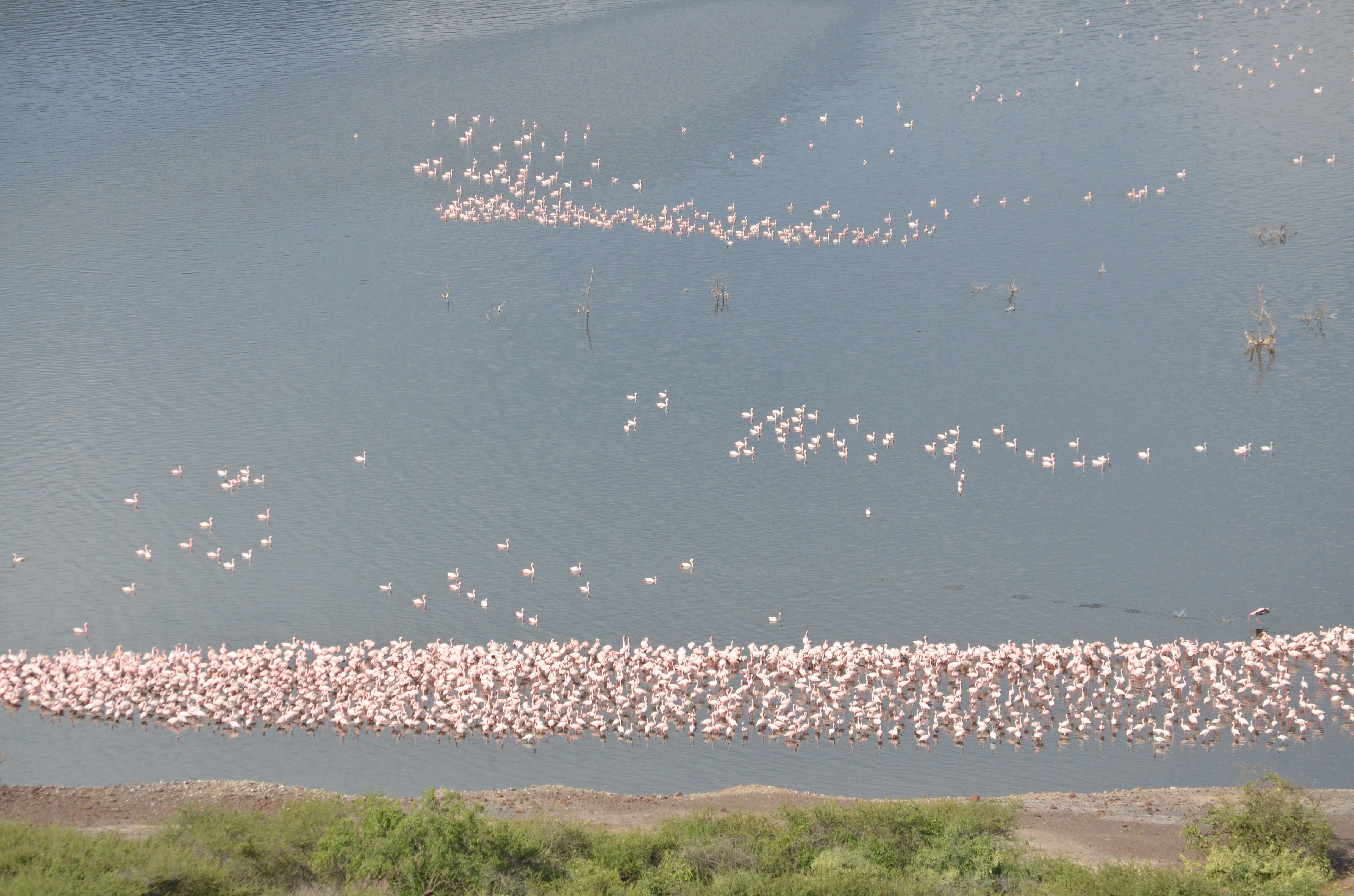 Africa Winter Official Site